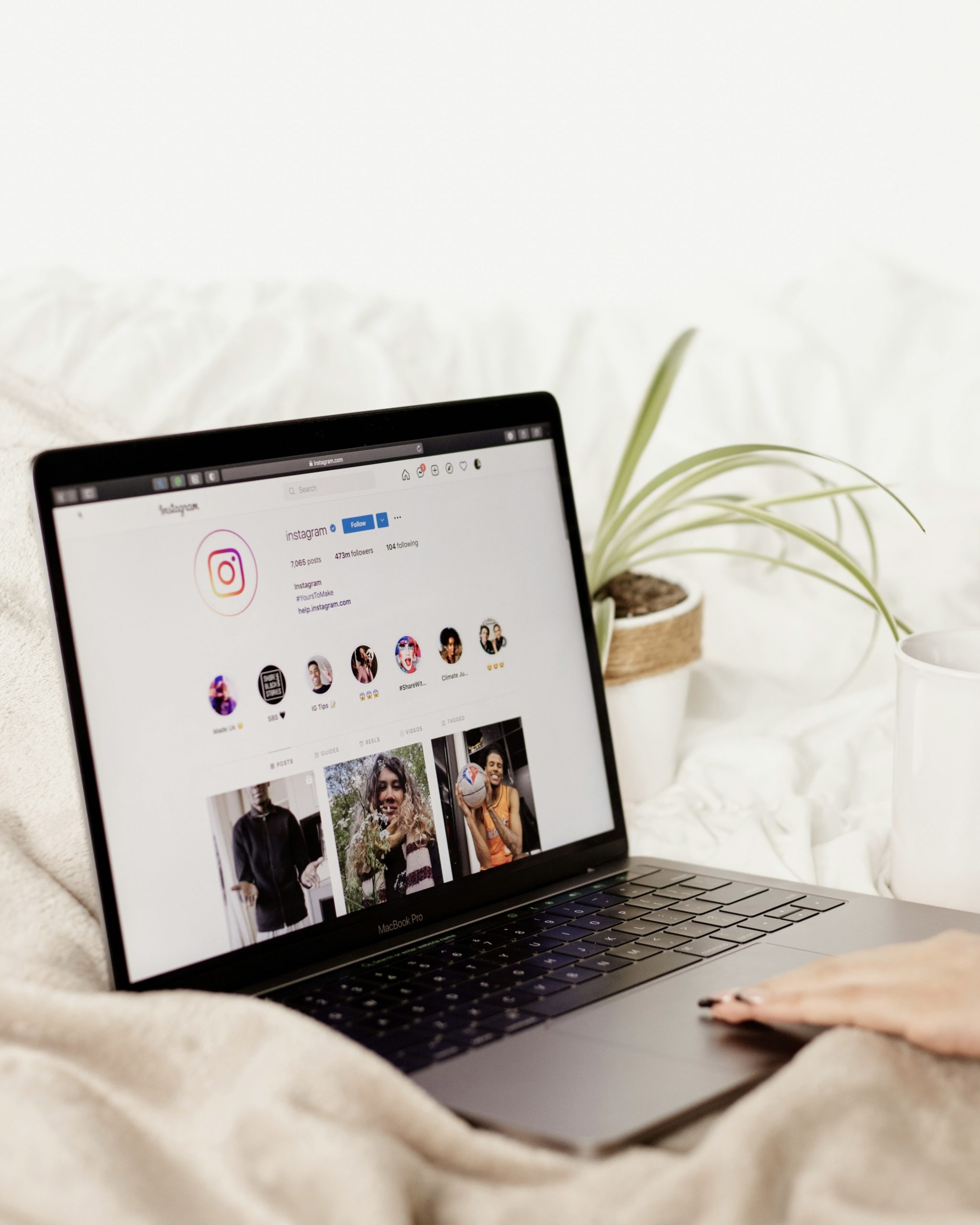 10+ Best Toronto Real Estate Content Creators to Follow • Scale District